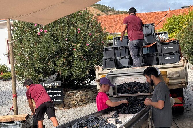 Private 4wd adventure in DE Douro: lunch, wine tasting and boat - A Closer Look at the Itinerary