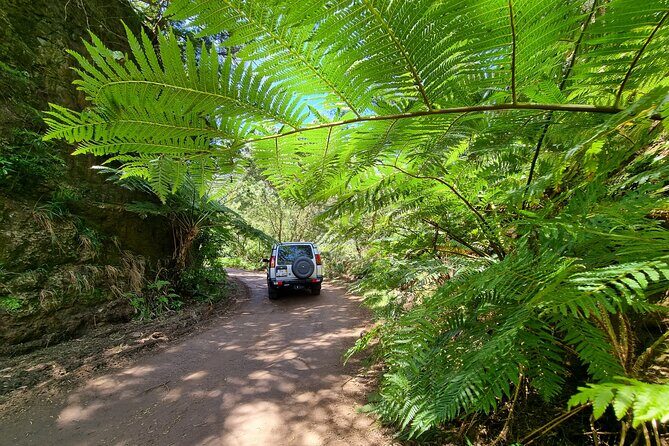 Private 4x4 Jeep Full Day Porto Moniz or Santana - The Sum Up
