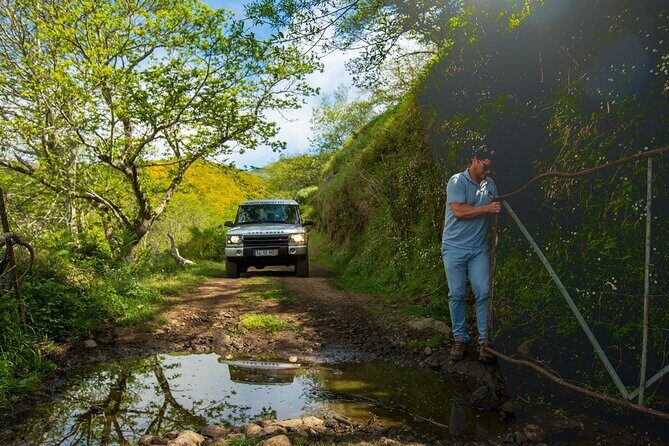 Private 4x4 Jeep Half Day - Picturesque Peaks, Vineyards, Skywalk - Introduction to the Madeira Jeep Experience