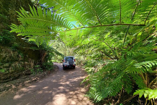 Private 4x4 Jeep Half Day - Picturesque Peaks, Vineyards, Skywalk - FAQ