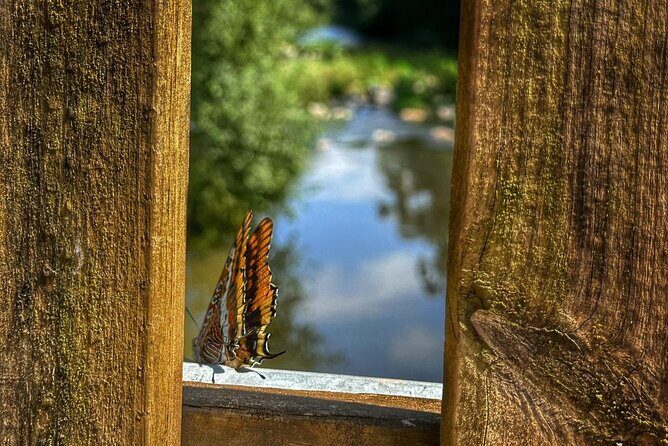 Private 4x4 Mountain Tour from Porto - FAQ