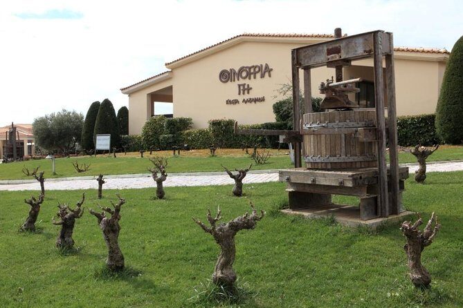 Private 4x4 Wine Tour from Athens to Marathon Lake and a Winery - An Intro to the Experience