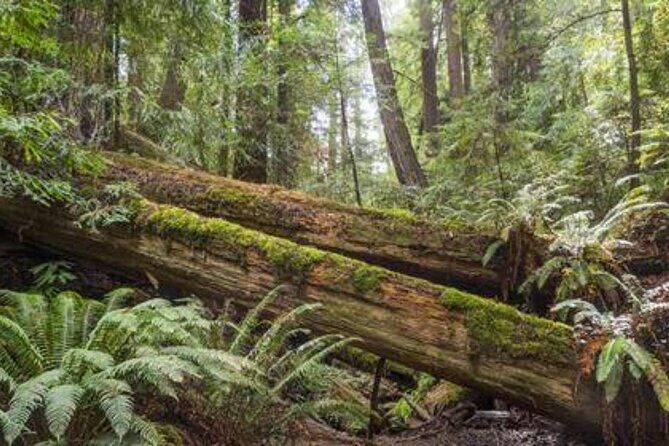 Private 5 day California Vineyards, Waves and Wine Tour - Frequently Asked Questions  