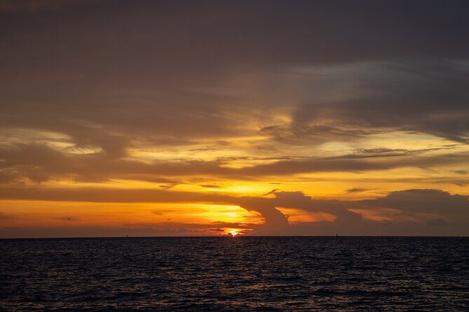 Private 5-Hour Egmont Key Boat Tour in St. Petersburg, FL - The Sum Up