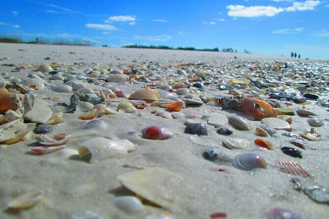 Private 5-Hour Egmont Key Boat Tour in St. Petersburg, FL - FAQ