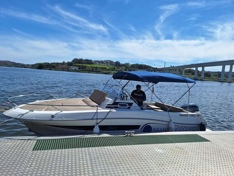Private 6 Bridges Cruise in Porto with Optional Sunset - Starting Point: Marina do Freixo