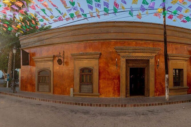 Private 6-Hour Todos Santos Tour from Los Cabos - Who Should Consider This Tour?