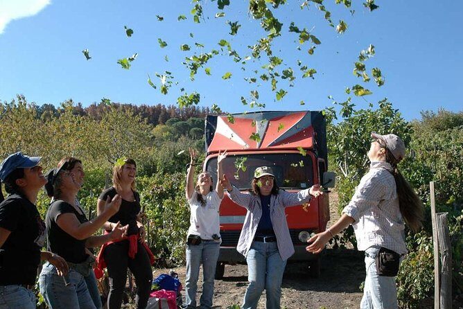 Private 6-Hour Tour of Three Etna Wineries with food&wine tasting - FAQ