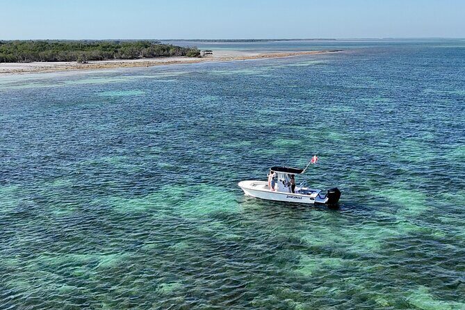 Private 6-person Sandbar & Snorkeling Charter - Why This Tour Works