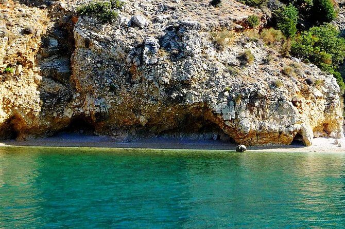 Private 7,5h Plavnik Island & Wild Bays Full-day Boat Trip - Authentic Experiences from Reviewers