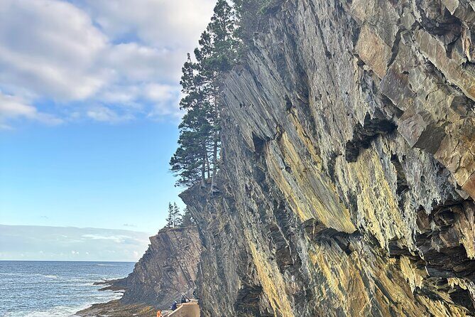 Private 8-Hour Halifax and South Shore Guided Tour - Key Points