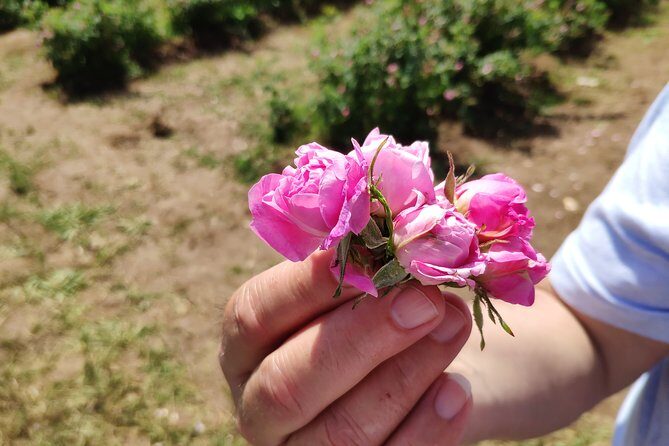 Private Access Rose Festival Kazanlak 05-07.06.2025 - Key Points