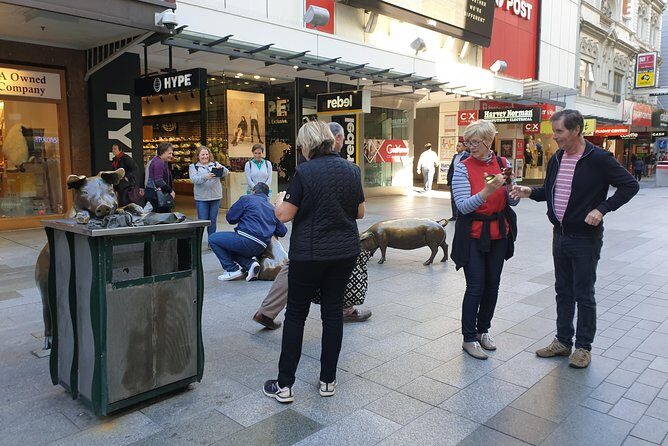 Private Adelaide Walking Tour - The Practical Side: What to Expect