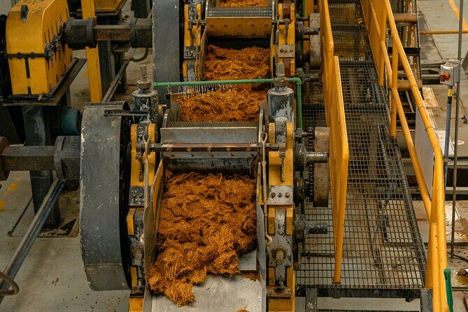 Private Adventure Day Tour to Tequila and Cazcanes Distillery - Who Will Love This Tour?