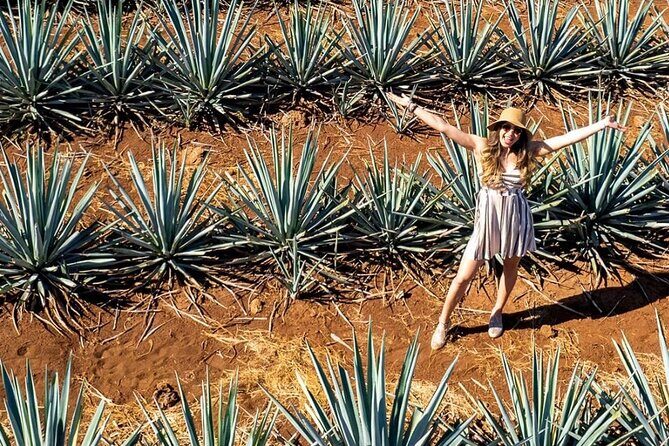 Private Adventure to El Tequileño Distillery and visit to Tequila - Frequently Asked Questions