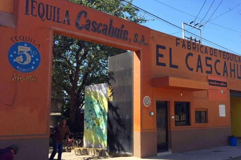 Private Adventure to Tequila and el Cascahuin Distillery - Key Points