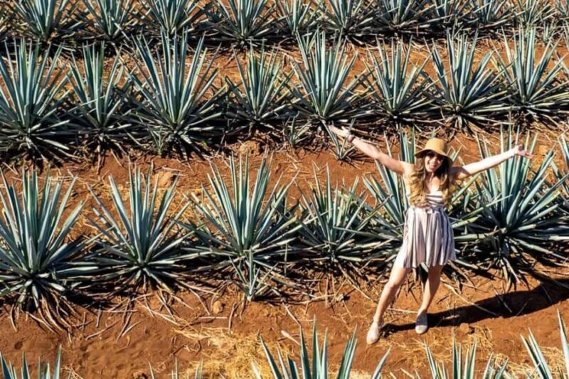 Private Adventure to Tequila and Tequila El Tequileño - Final Thoughts