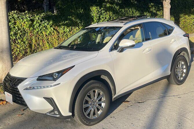 Private Airport Arrivals Rides to Hotel - Who Is This Tour Best For?