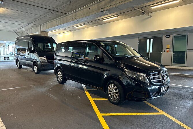 Private Airport Transfer - Insights from Reviews