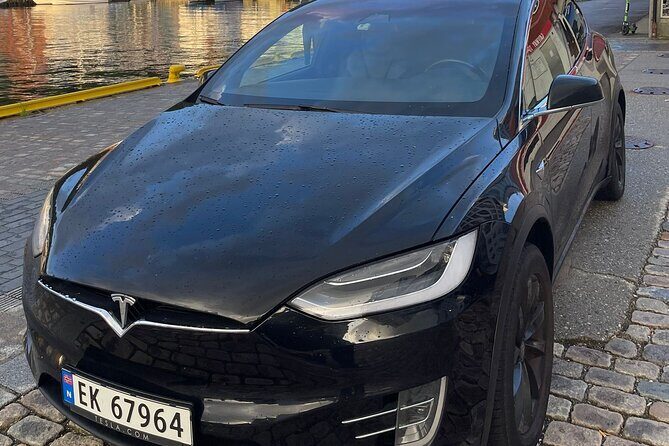 Private Airport Transfer From Bergen Airport or Hotels in Bergen - Who Will Love This Service?