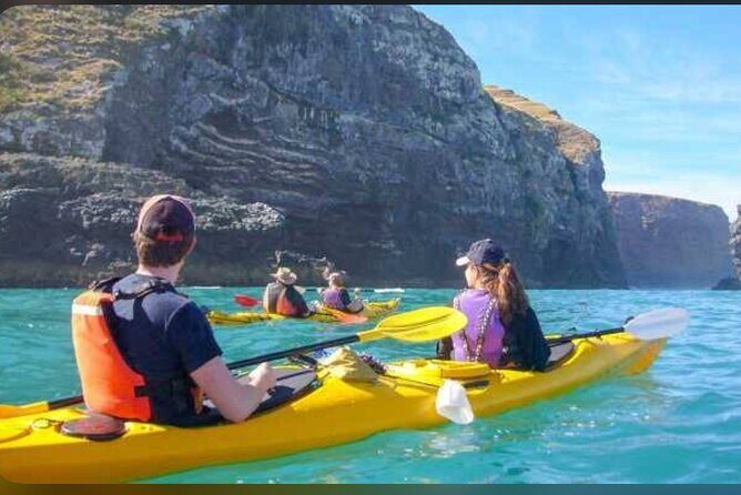 Private Akaroa Day Tour From Christchurch - Who Is This Tour Best For?