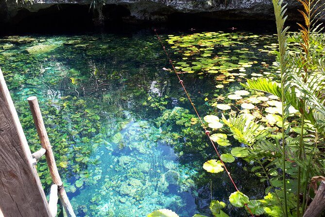 Private Akumal & Cenotes tour - FAQ