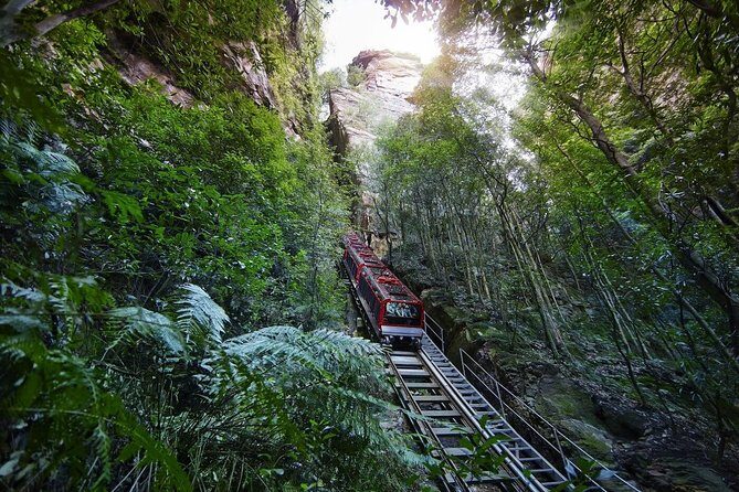 Private All Blue Mountains Day Tour - Why Choose the Private All Blue Mountains Day Tour?