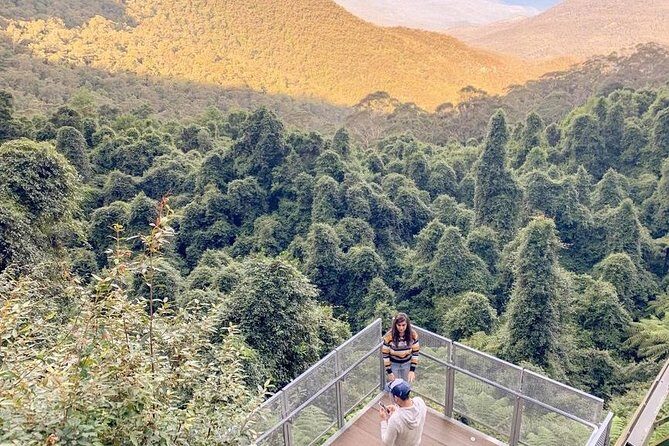 Private All Blue Mountains Day Tour - Considerations to Keep in Mind