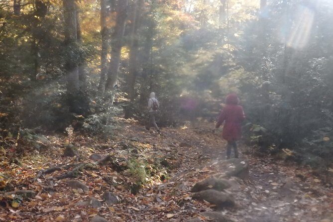 Private All-Inclusive Algonquin Tours (3 Day Guided Camping) - Day 2: Deep Wilderness and Scenic Trails