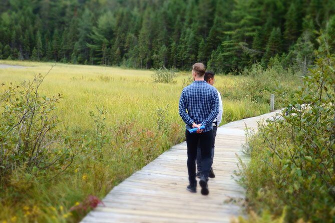 Private All-Inclusive Algonquin Tours (3 Day Guided Camping) - Day 3: Highlights and Paddling