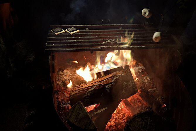 Private All-Inclusive Algonquin Tours (3 Day Guided Camping) - Authentic Experiences & Unique Highlights