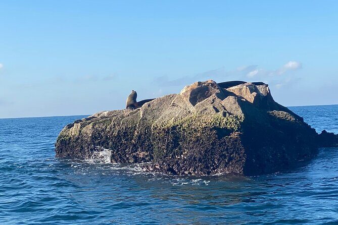 Private All Inclusive Snorkeling Experience in Mazatlan - FAQ