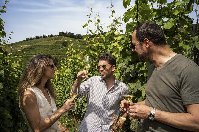 Private Alsace Wine Tour from Colmar area, Basel or Mulhouse - Key Points
