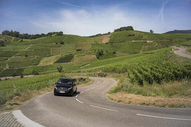 Private Alsace Wine Tour from Colmar area, Basel or Mulhouse - What’s Included and What to Expect