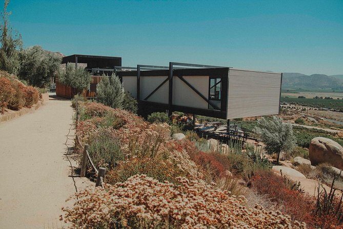 Private and custom group Wine tour Valle de Guadalupe - What Makes This Tour Stand Out