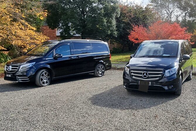 Private and Customised Great Ocean Road and Luxury Tour - An In-Depth Look at the Tour Experience