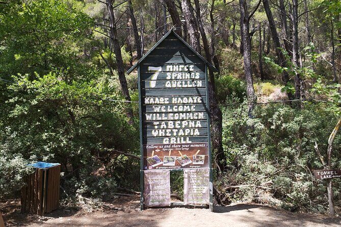 Private and Customized Sightseeing Tour of Rhodes - The Sum Up