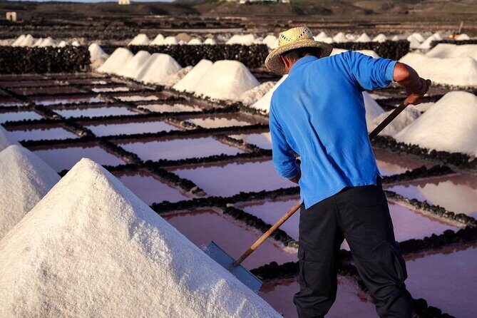 Private and Guided Tour to the Salinas de Janubio with Tasting - The Sum Up