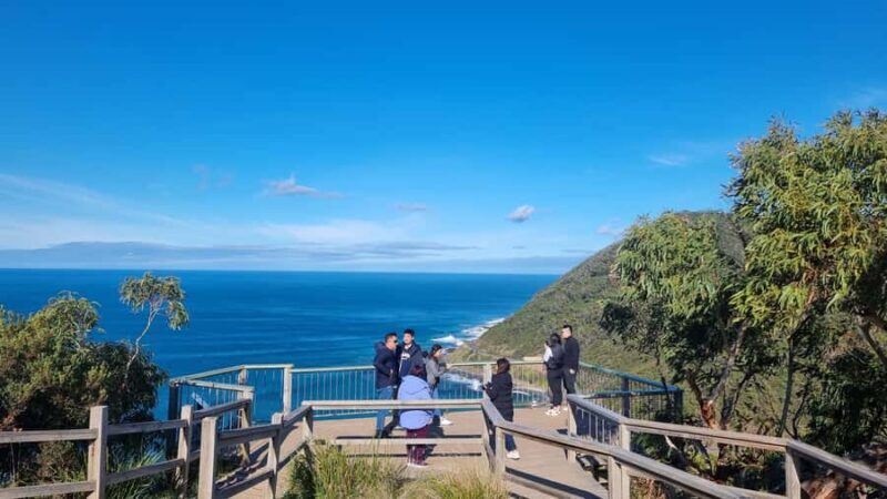 Private and Luxury Great Ocean Road and 12 Apostles Day Tour - A Deep Dive into the Experience