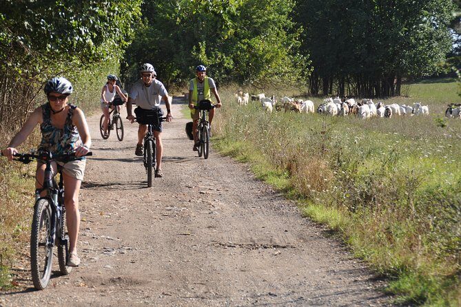 PRIVATE Appian Way and Lake Albano Ebike Tour with Italian Lunch - Practical Details and What They Mean for You