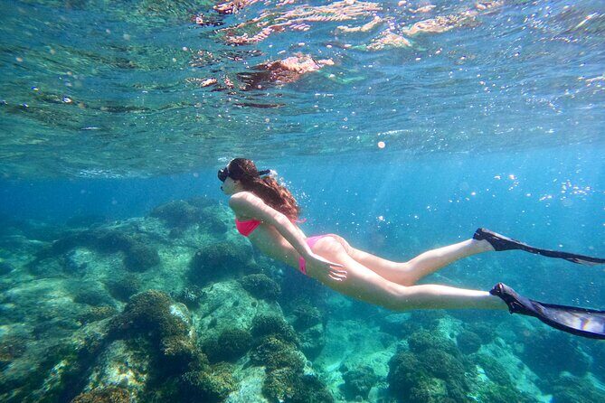 Private Arch and Snorkeling Tour in Cabo San Lucas with Photos - FAQ