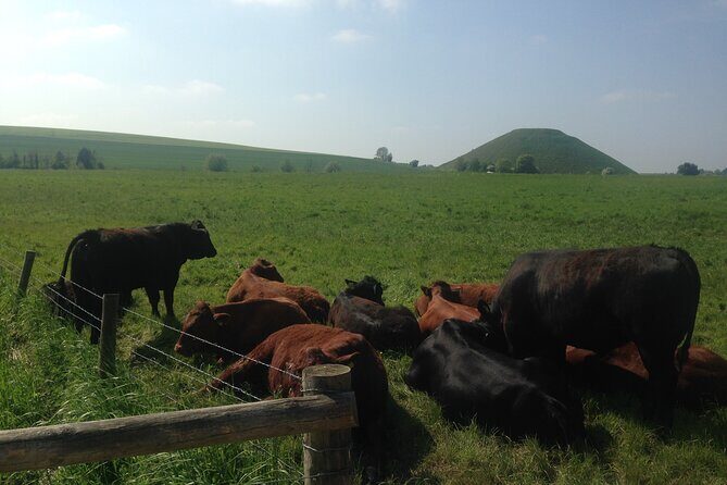 Private Archaeologist Guided Tour Stonehenge, Salisbury & Avebury - Who Should Consider This Tour?