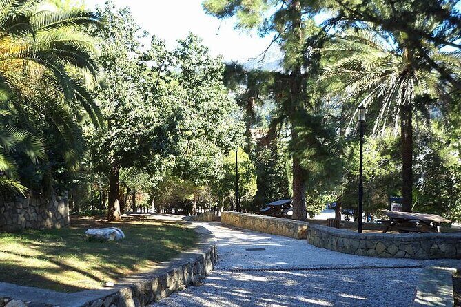 Private Argostoli Stroll: Nature, Locals, Tradition, and Flavors - What’s Included and What You Should Know