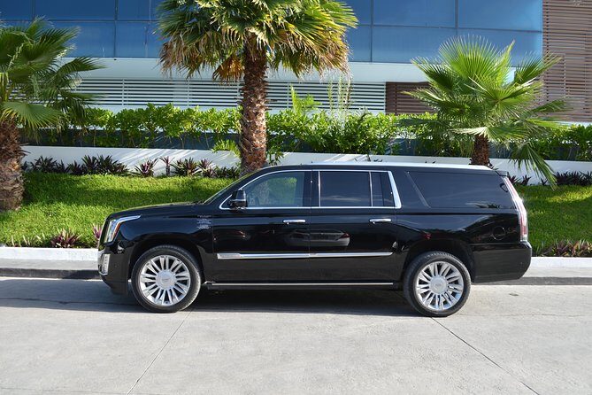 Private Arrival Luxury Transfer: San Jose International Airport to Hotels (1 - 5) - The Vehicle and Service Experience