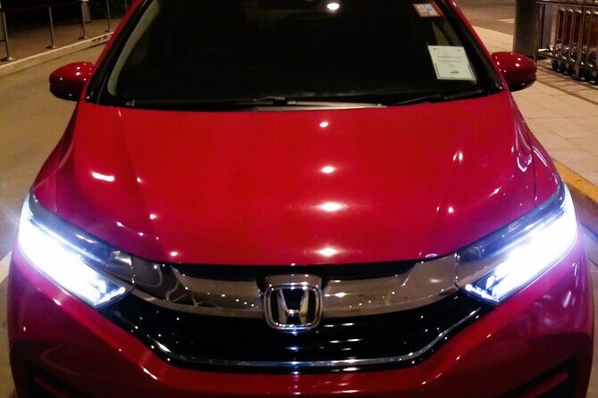 Private Arrival Transfer - Nadi Airport to Port Denarau, Terraces & Palms Apartm - Who Is This Transfer Best For?