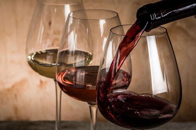 Private Athens Wine Tasting (with a Personal Licensed Wine Guide) - Who Is This Tour Best For?