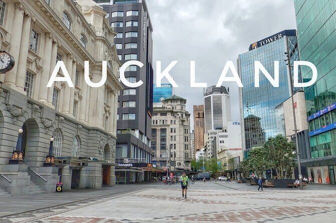 Private Auckland Airport Pick up and Drop off - Why Choose This Service?