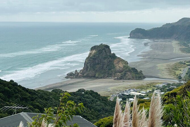 Private Auckland best Spots + Piha beach and rainforest day Tour - Exploring Auckland in a Day: A Complete Review of the Private Best Spots & Piha Beach Tour