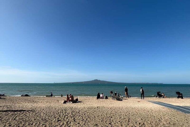Private Auckland Best Top 5 Spots Half day Tour - Who Will Love This Tour?