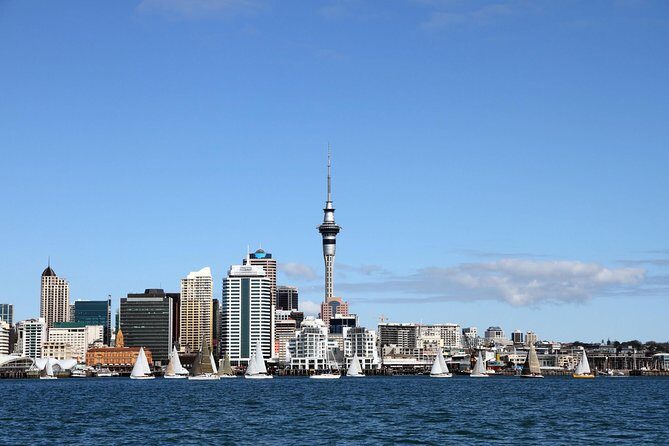 Private Auckland City Tour For Small Group in a luxury vehicle. - Why Opt for a Private Auckland City Tour?